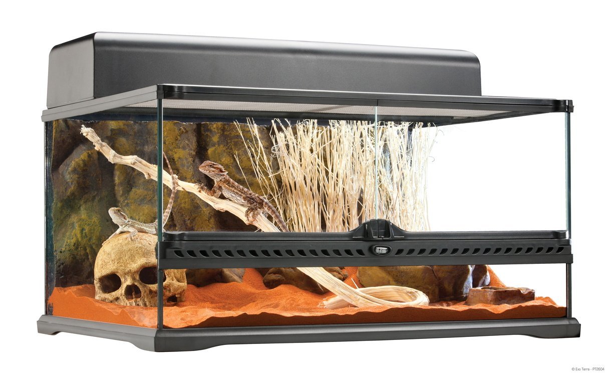 ᐅ Terrarium kaufen - Terraristik Ratgeber & Vergleich 2018